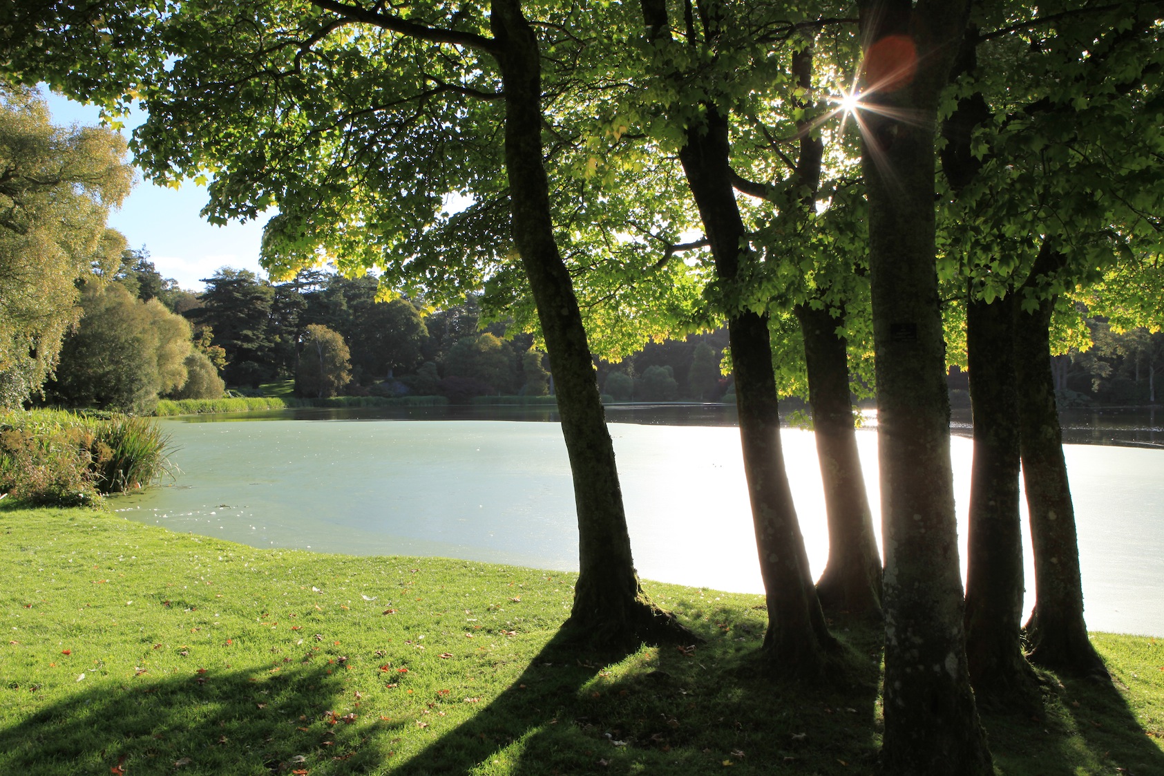 Georges Lévêque Jardins